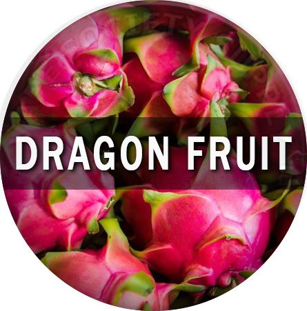 Dragon Fruit Flavor E-Juice ⋆ Vape Society Supply